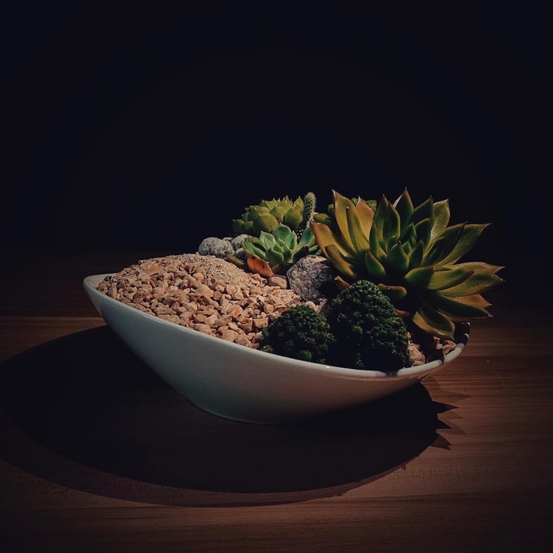 Plate Scape – 🌱GreeeenScape
